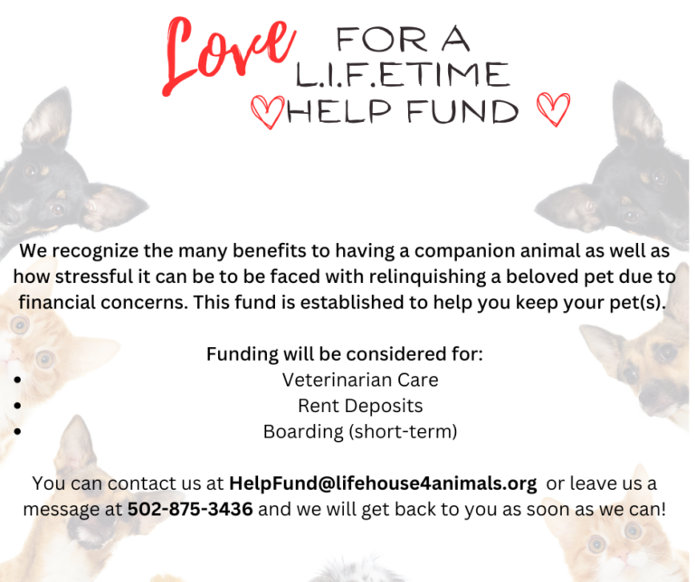 Love for a Lifetime Help Fund – LIFE House for Animals
