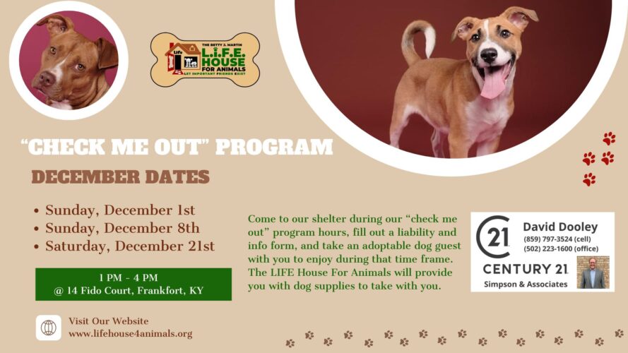 Check Me Out Dog Event – LIFE House for Animals